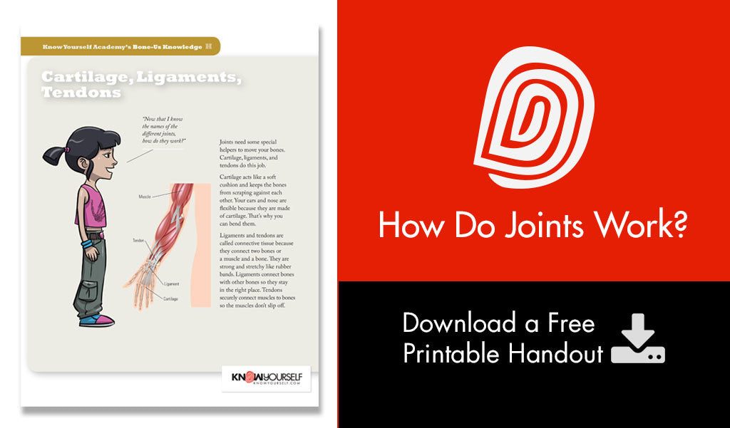 How Do Joints Work? - Know Yourself