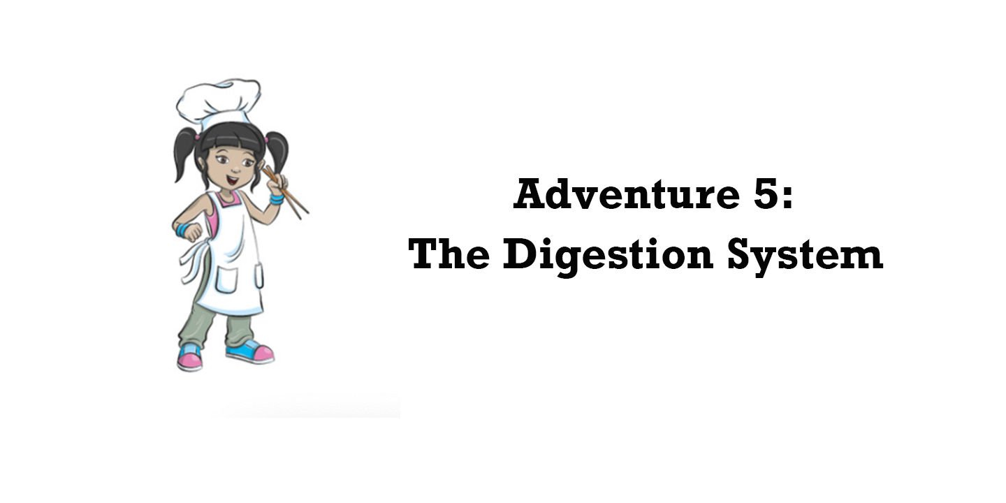 Fun Digestion Activites - Know Yourself