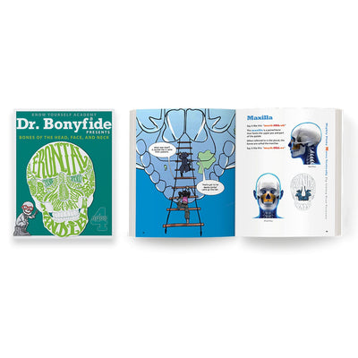 Complete Your Bone Knowledge - 4 Book Set on Human Anatomy - Know Yourself