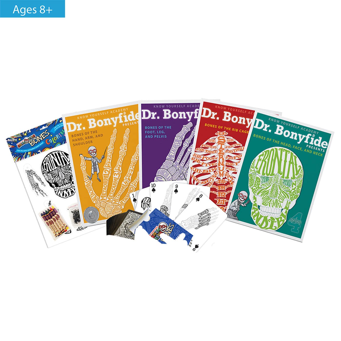 Human Anatomy Super Bundle - Comprehensive Learning for Kids