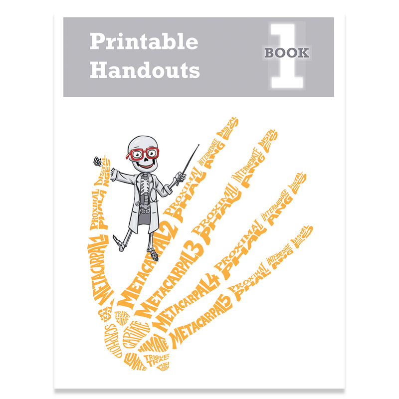 Printable Bone Books Pages - Educational Worksheets for Kids - Know ...