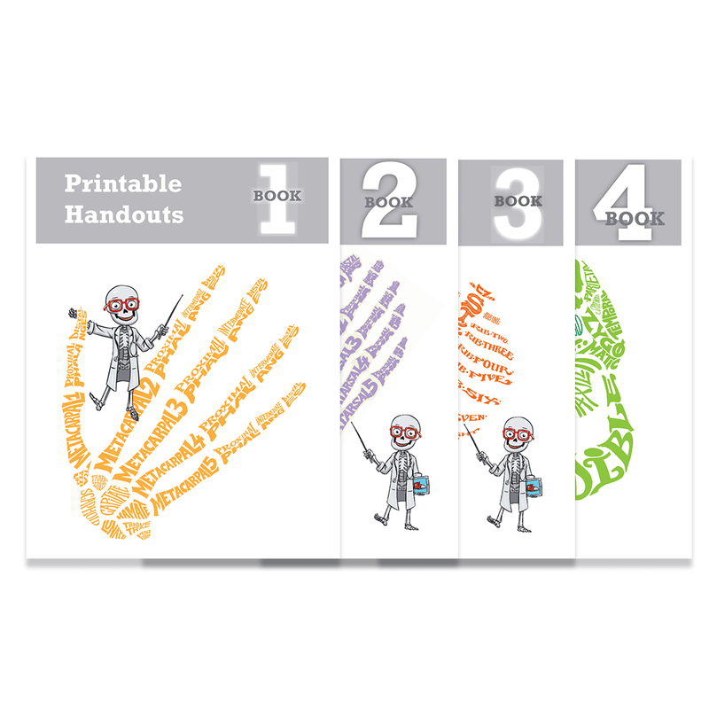 Printable Bone Books Pages - Educational Worksheets for Kids - Know ...