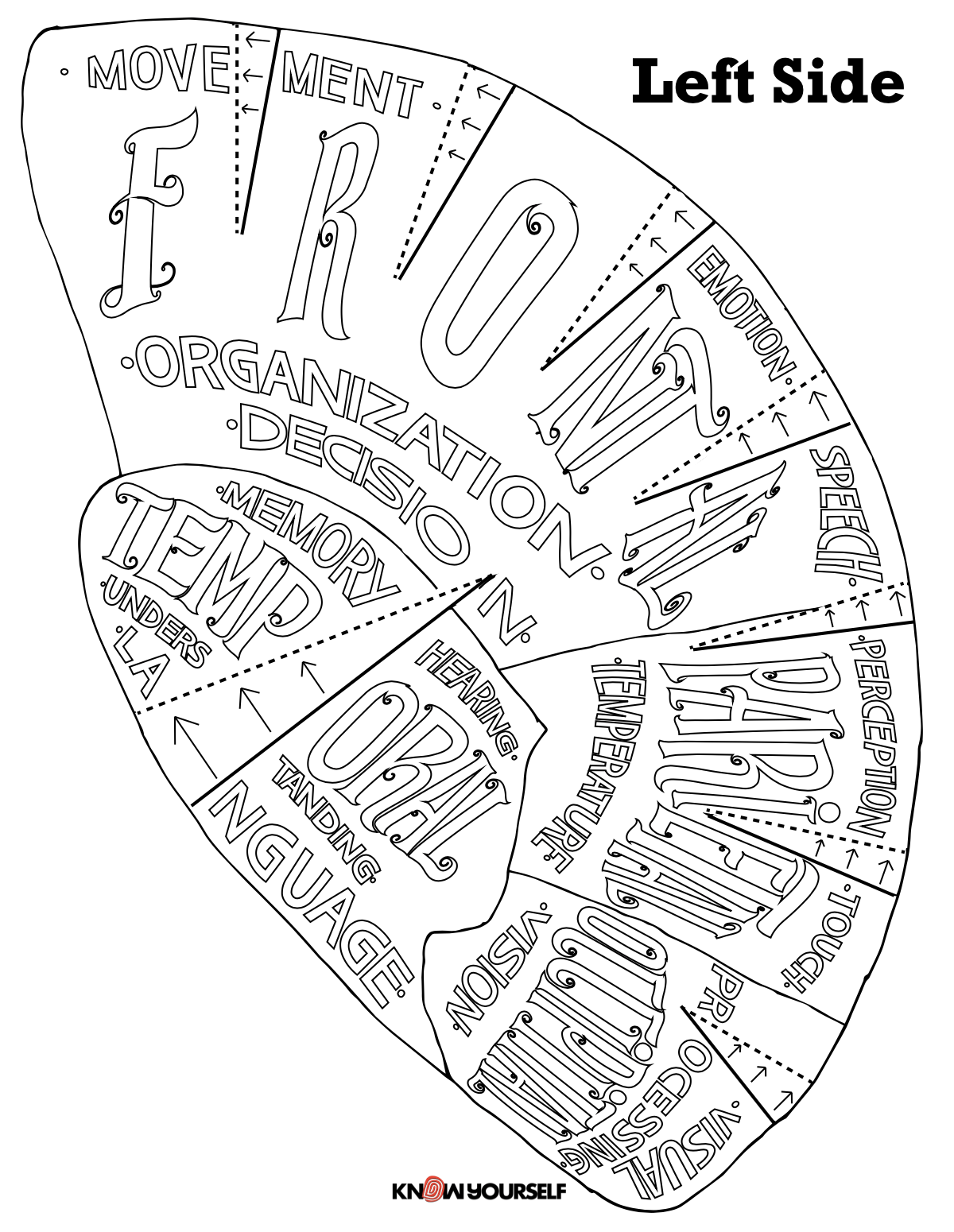 Brain Cap Activity Know Yourself