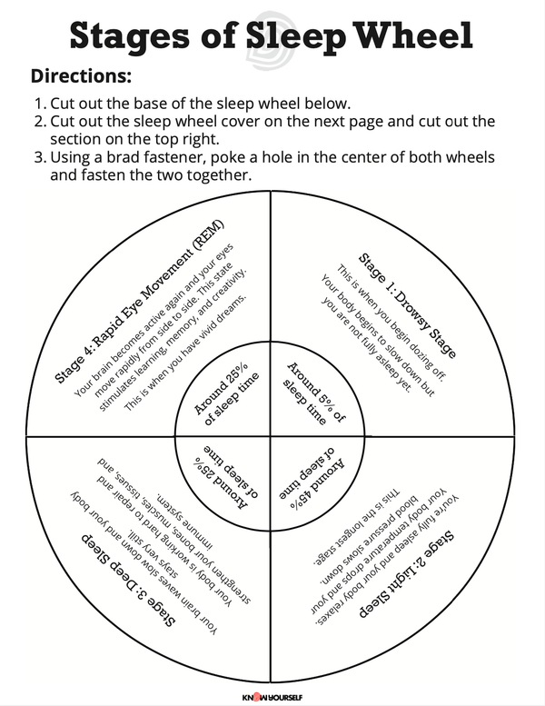 Discover Sleep Stages with the DIY Sleep Wheel - Know Yourself