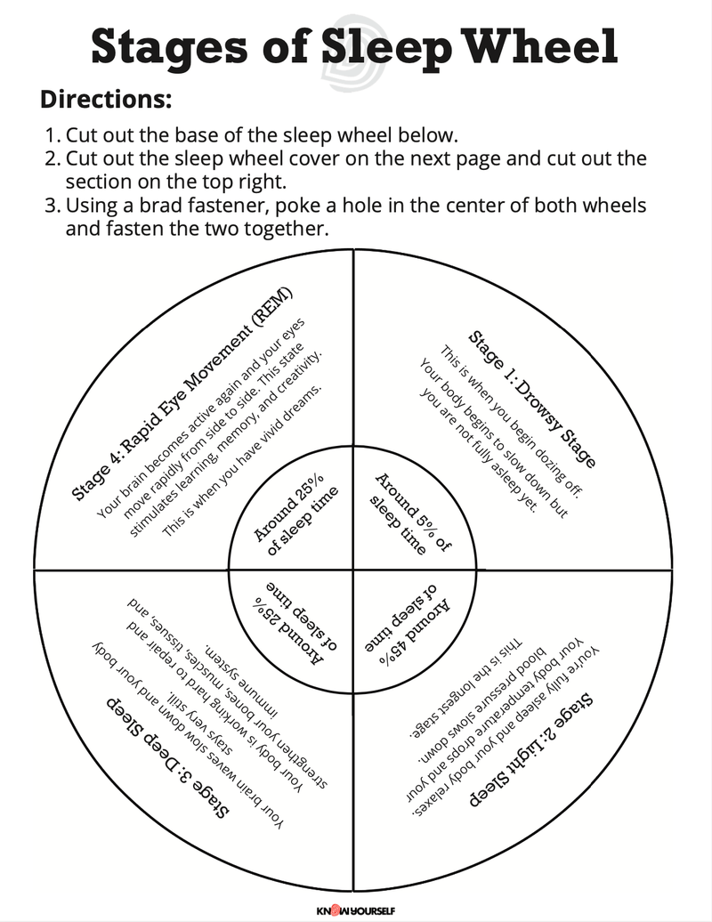 Discover Sleep Stages with the DIY Sleep Wheel - Know Yourself