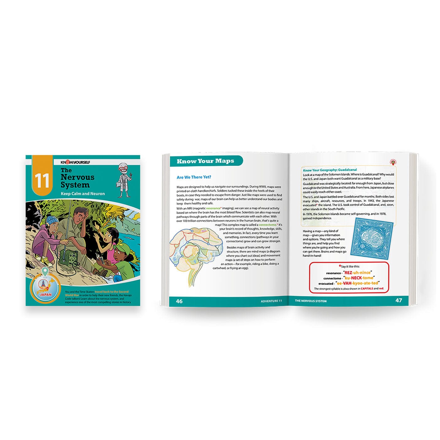 Create a Wearable Brain Cap - Free Educational Resource