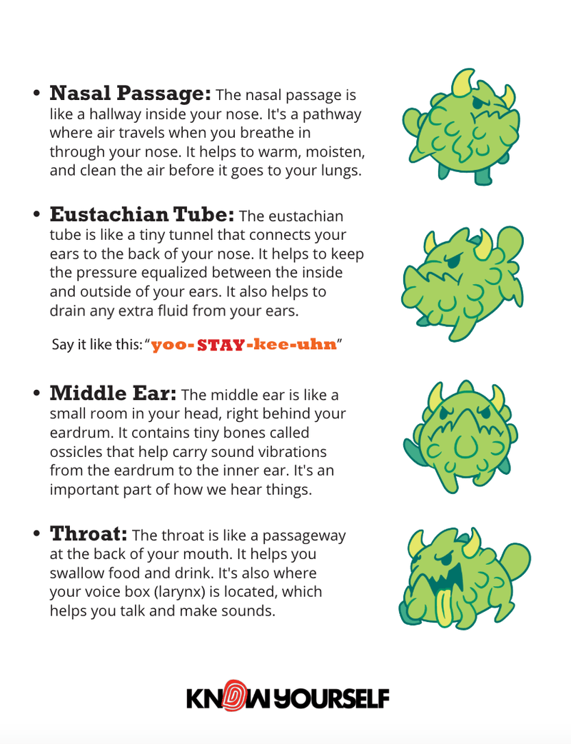 Snot's Tubular Adventure - Learn ENT Anatomy with Fun Activities - Know ...
